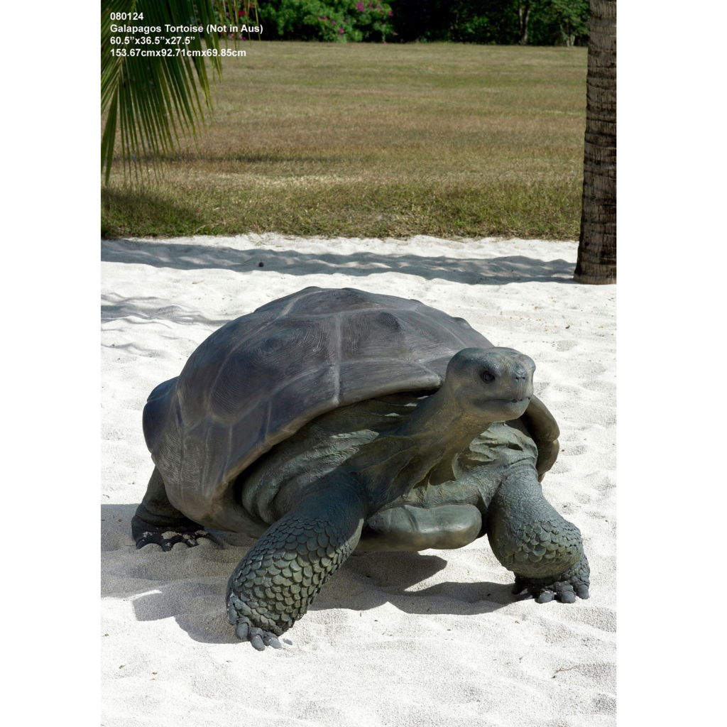 Galapagos giant tortoise - The Prop Central