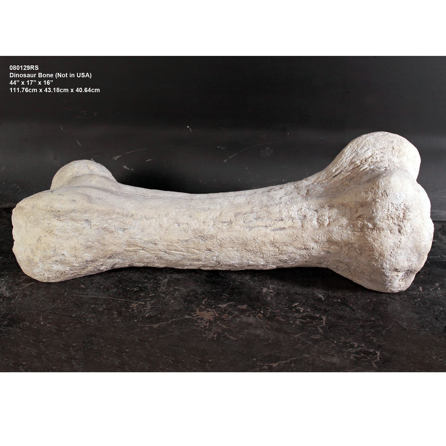 Giant dinosaur bone - The Prop Central