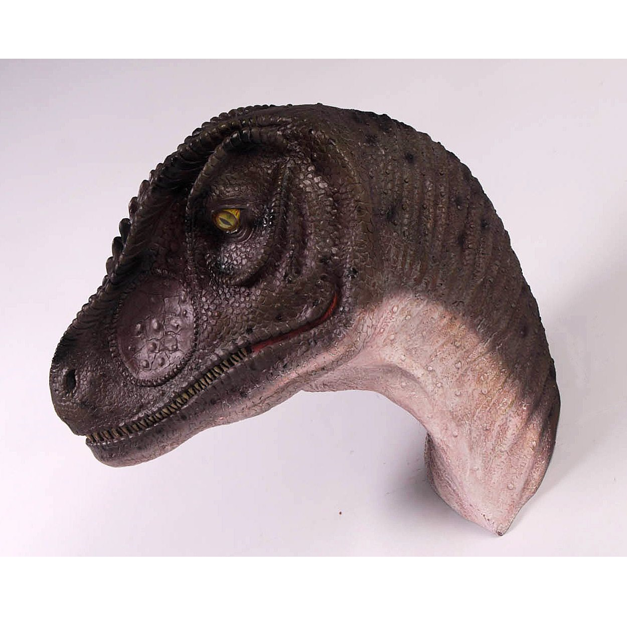 Head of an Allosaurus dinosaur wall model - The Prop Central