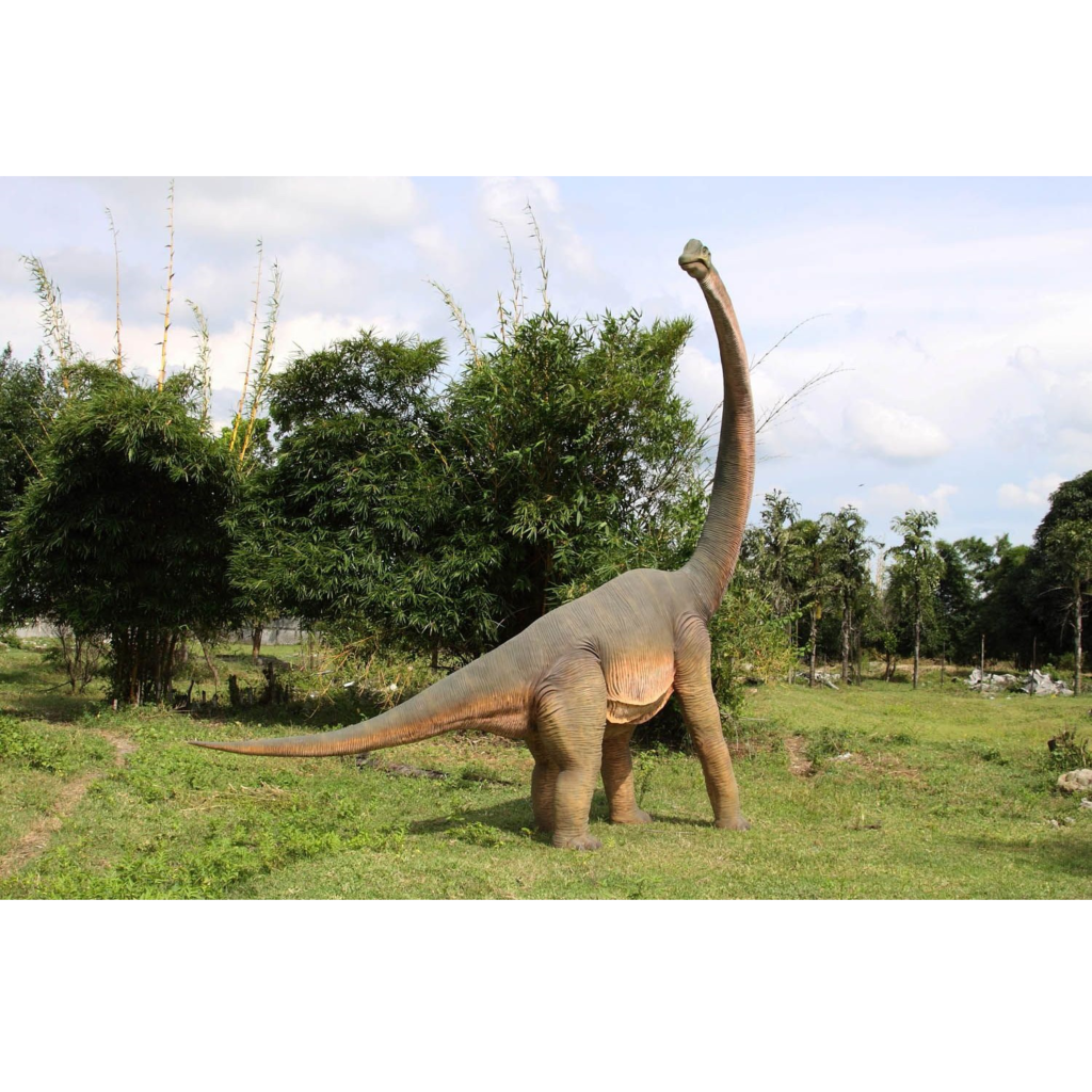 Braciosaurus – Dinosaur - The Prop Central